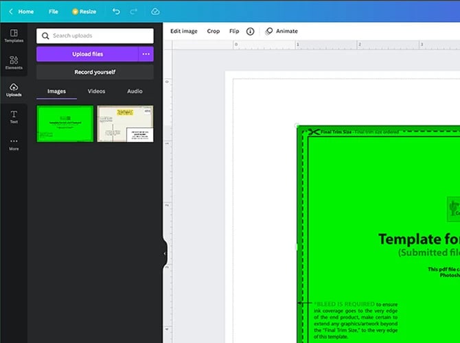Canva Help | 5 Easy Steps to Set Up Your Postcard